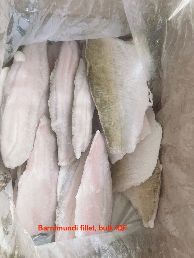 Barramudi – Fillet skin on – Golden Ocean Seafood